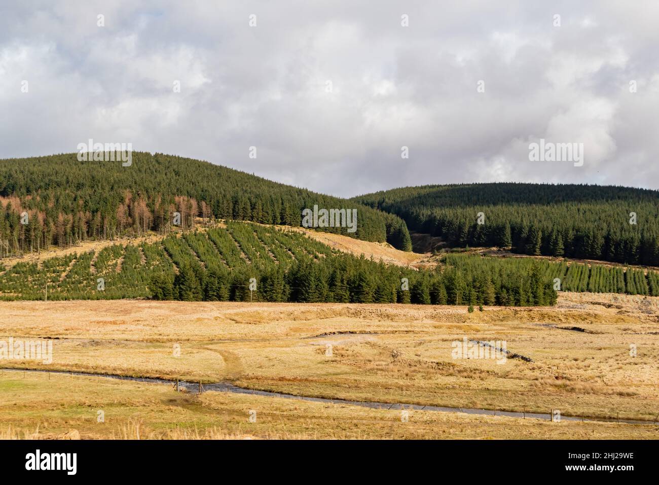 Sunny view of rural landscape at Boreraig, Scotland Stock Photo - Alamy