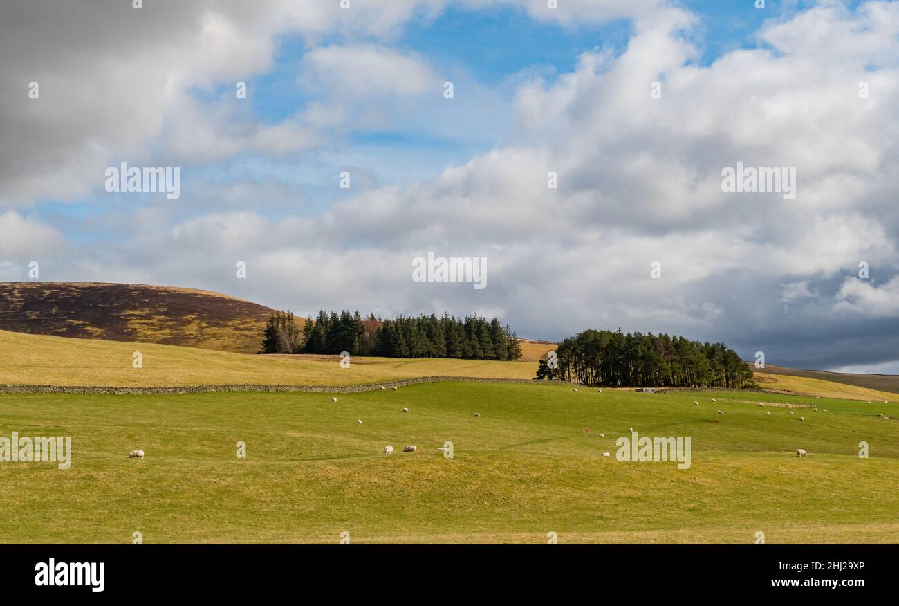 Boreraig hi-res stock photography and images - Alamy
