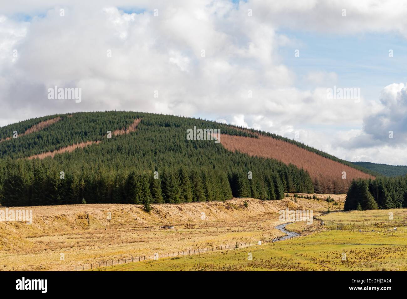 Sunny view of rural landscape at Boreraig, Scotland Stock Photo - Alamy