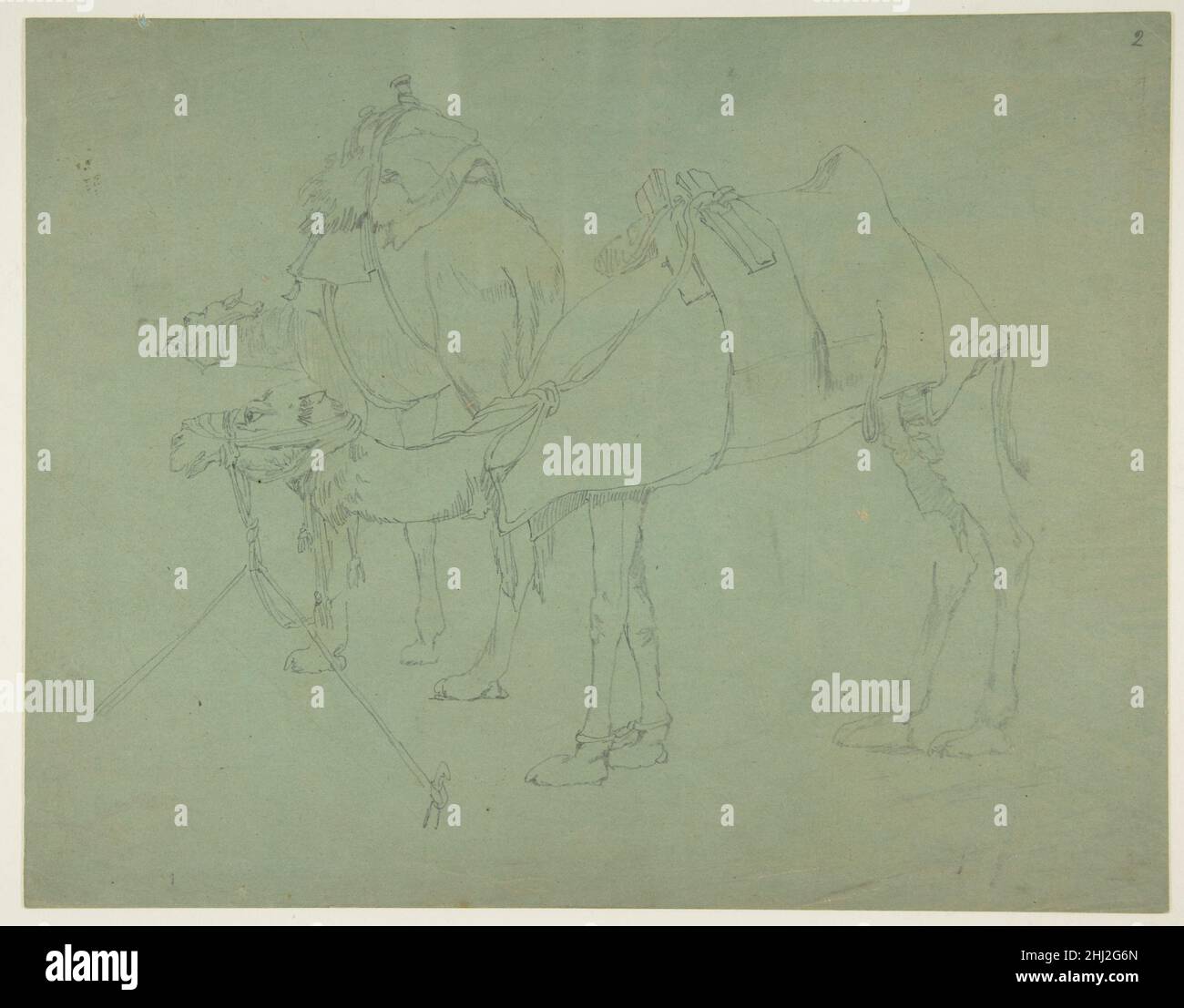 Two Camels 19th century Anonymous, French, 19th century French. Two ...