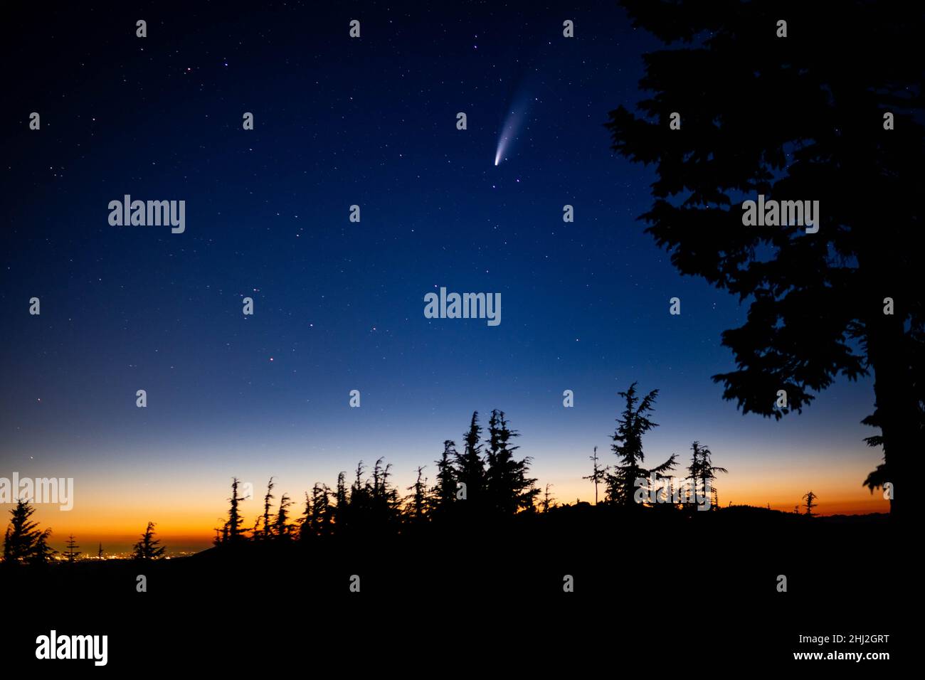 Beautiful night view with Neowise comet Stock Photo - Alamy