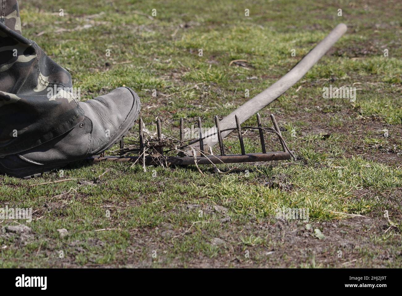 Garden rakes lying on the ground. Concept make the mistake twice. To ...