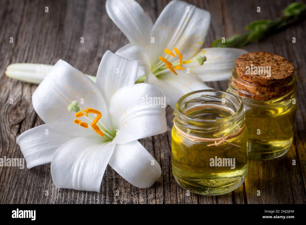 Lily essential hi-res stock photography and images - Alamy