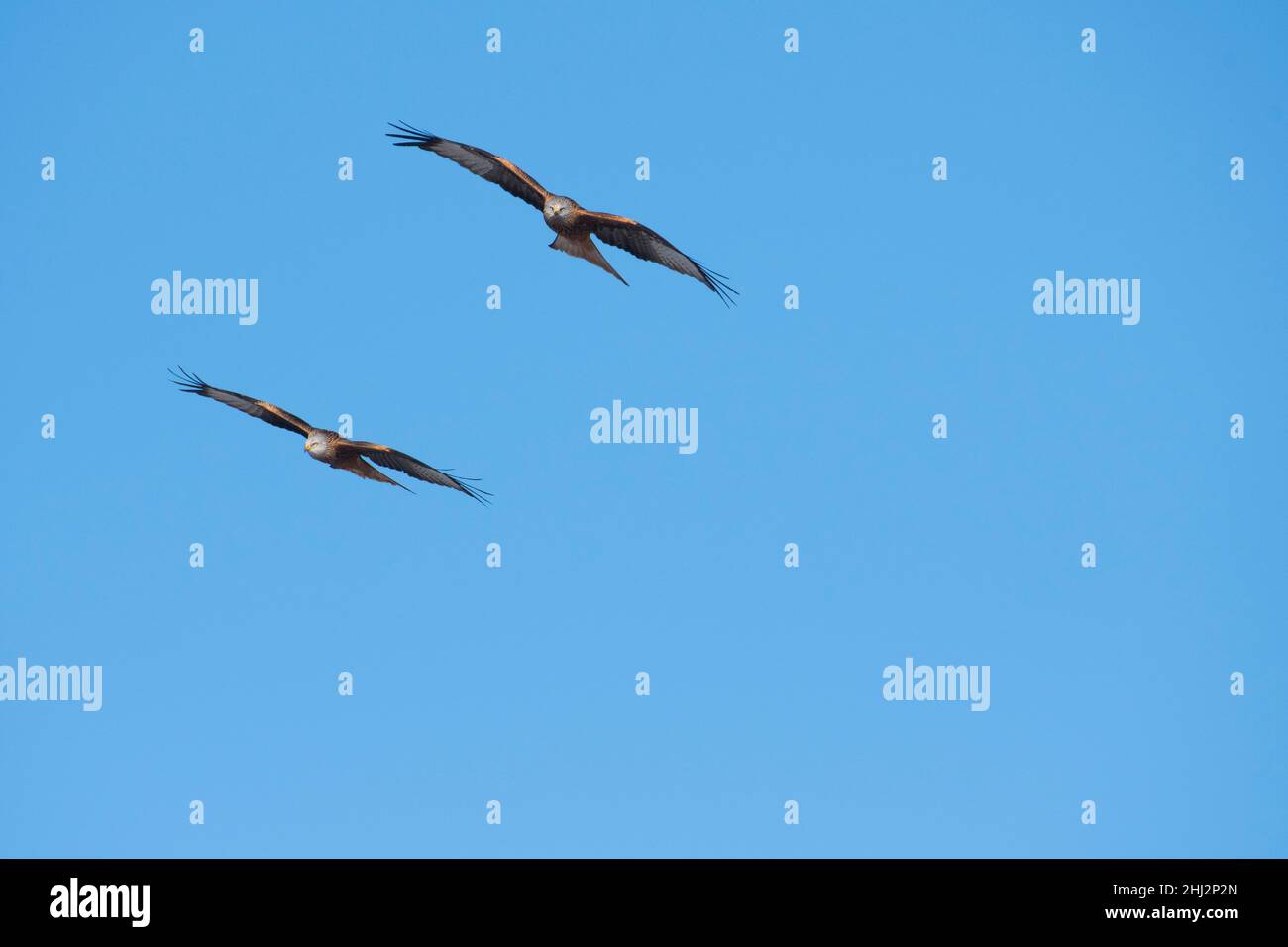 Parallel flight hi-res stock photography and images - Alamy