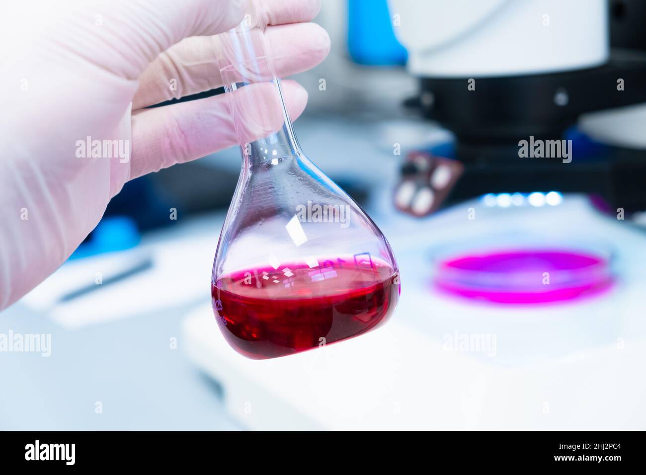 Round flask with colored liquid or blood sample in scientist hand in ...