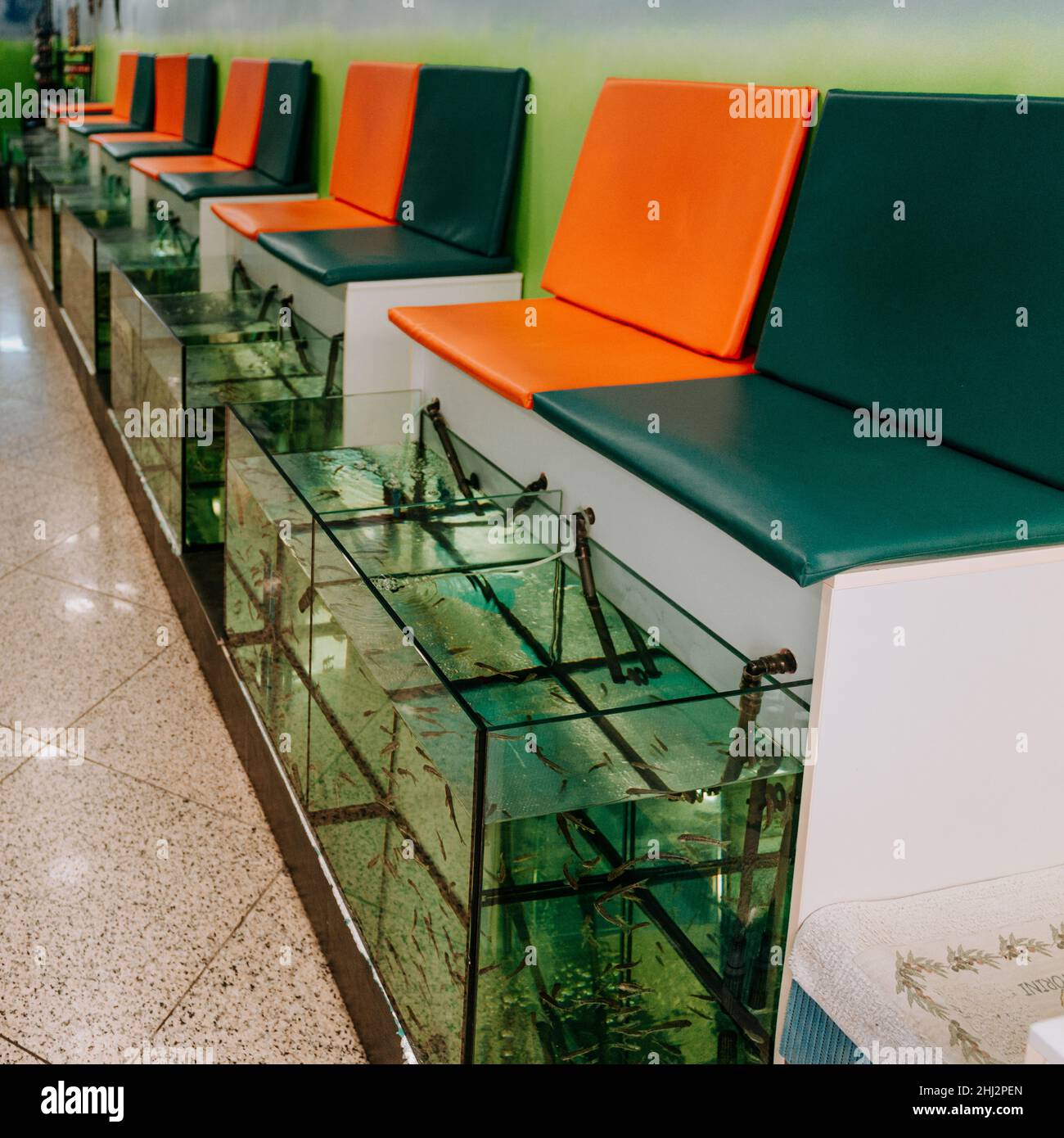 aquariums with fish that eat dead skin particles from the legs ...