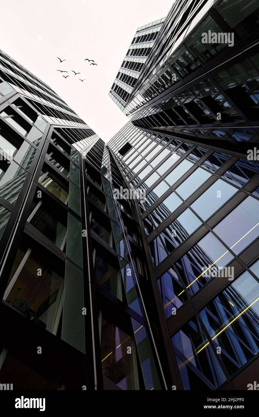 Birds above two skyscrapers, Dancing Towers, facade construction of ...