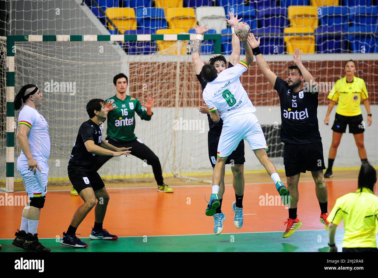 Spia 2022 hi-res stock photography and images - Alamy