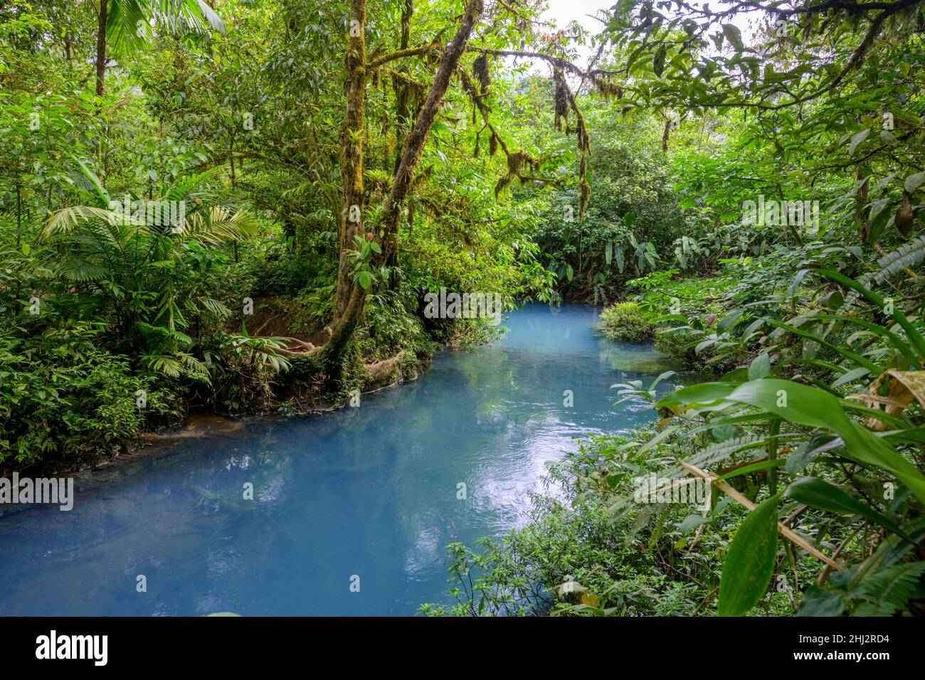 Blue turquoise water of the Rio Celeste caused by sulphur and calcium ...