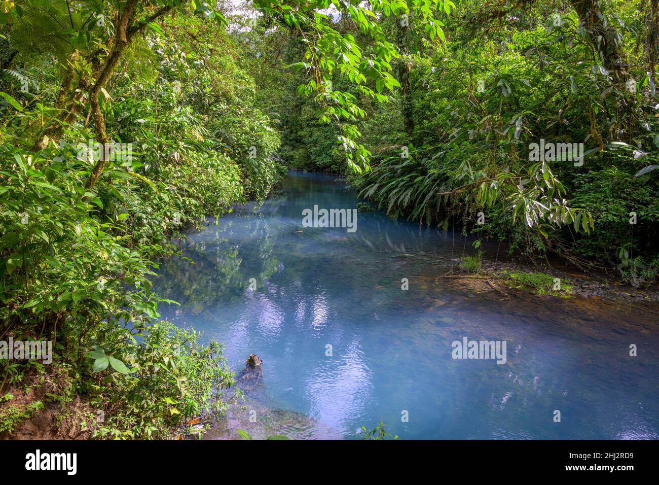 Blue turquoise water of the Rio Celeste caused by sulphur and calcium ...