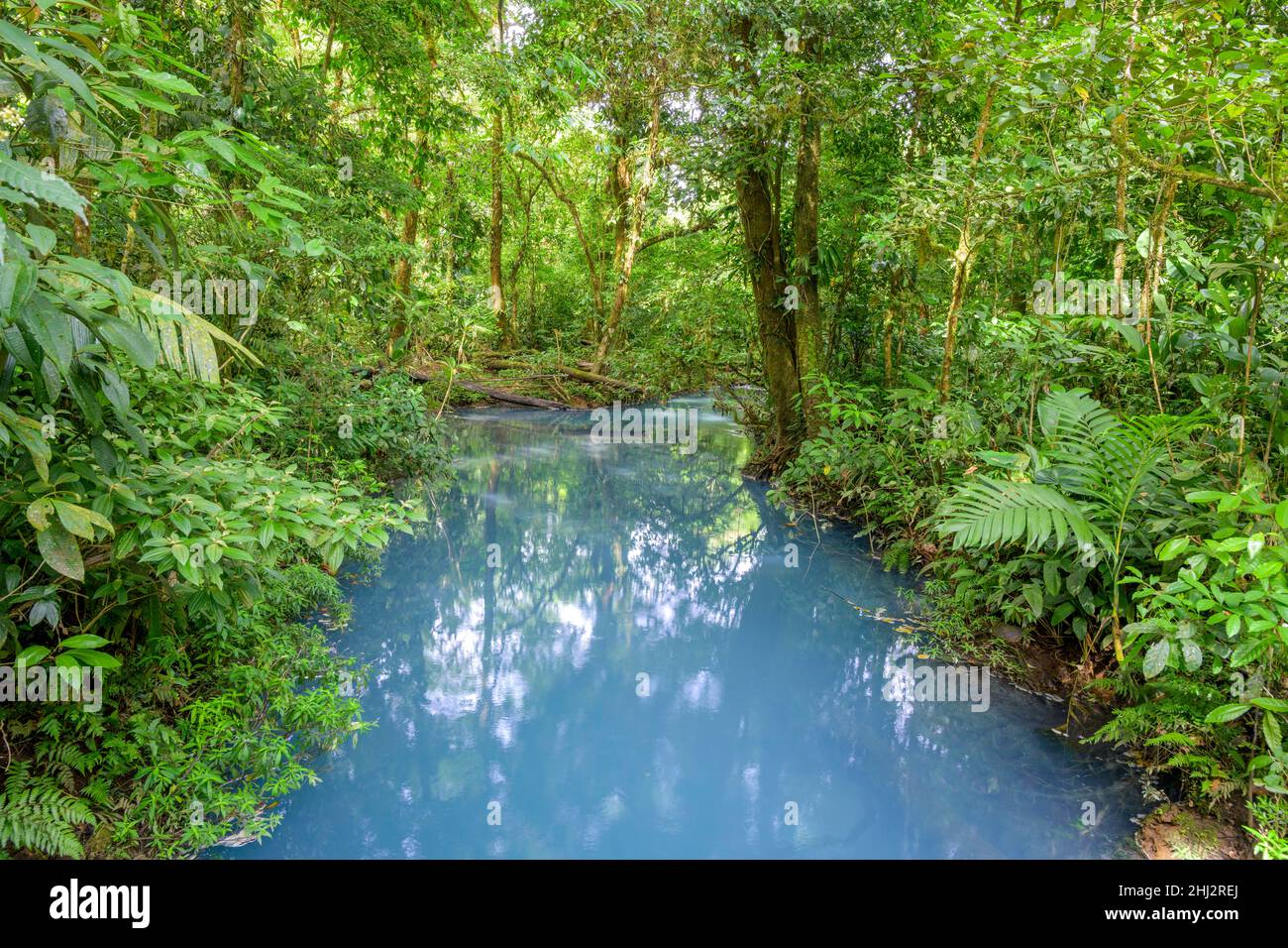 Blue turquoise water of the Rio Celeste caused by sulphur and calcium ...