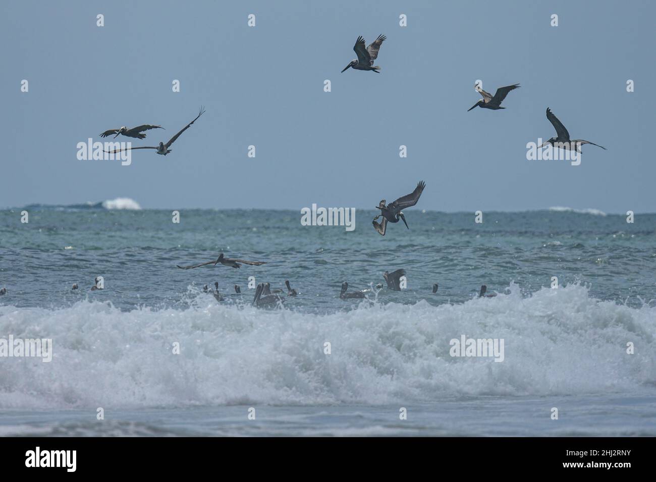 Baya cruz hi-res stock photography and images - Alamy