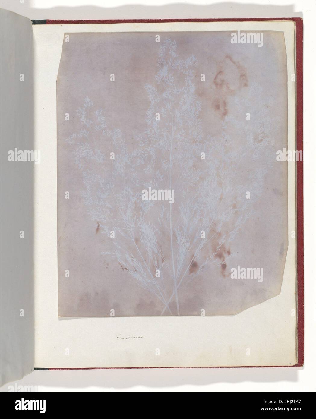William henry fox talbot 1839 hi-res stock photography and images - Alamy