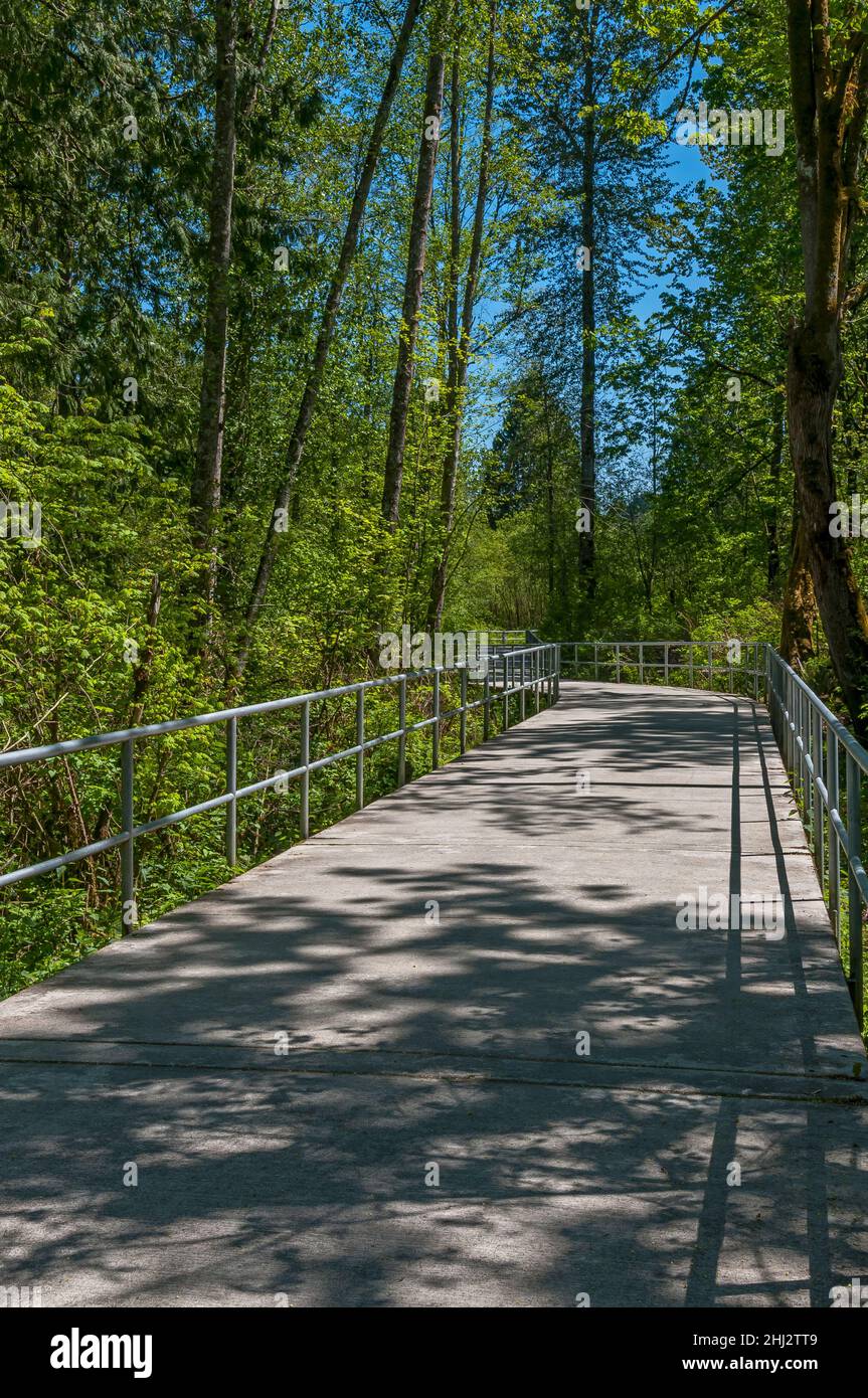 Railings on either side of this section of the Soos Creek Trail in the ...