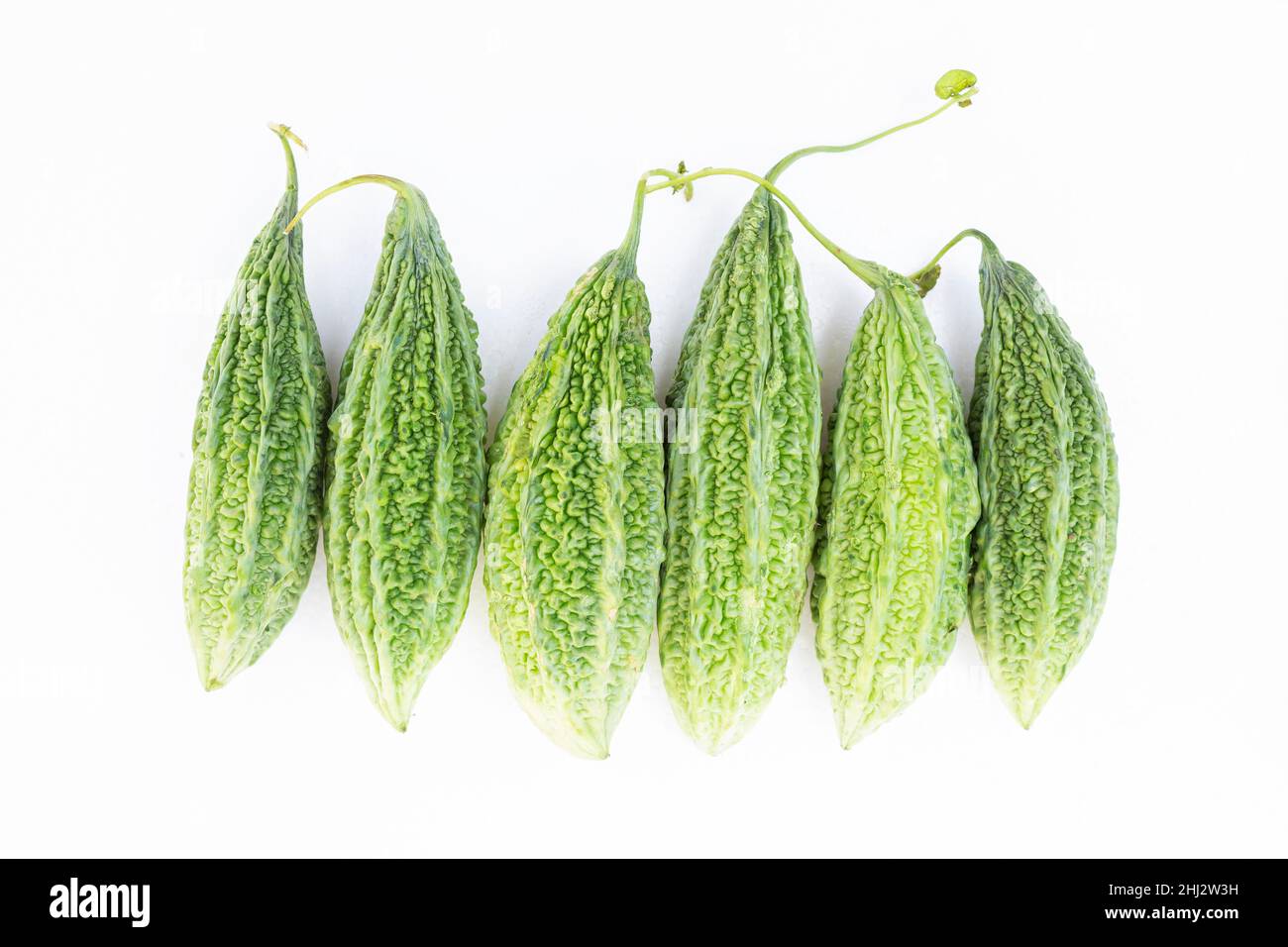 Bitter melon (Momordica charantia) isolated on white background Stock ...