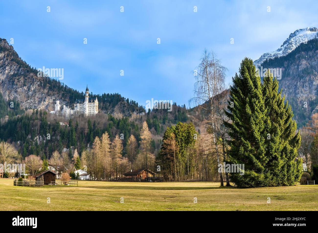 Mesmerizing view of the nature and greenery of the German Alps with ...