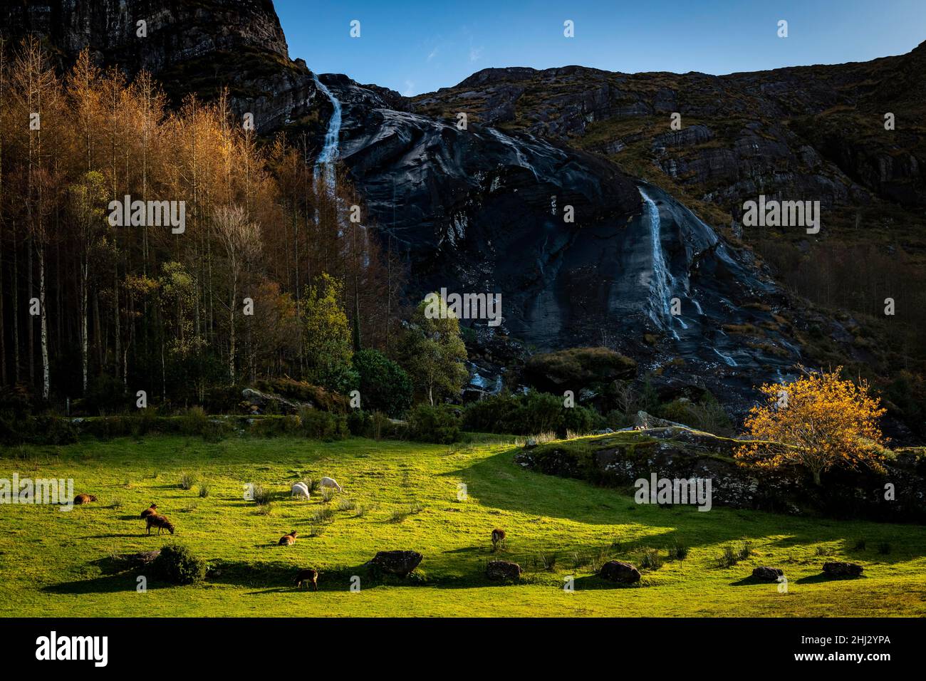 Waterfall in autumn landscape, Gleninchaquin Park, Kenmare, County ...