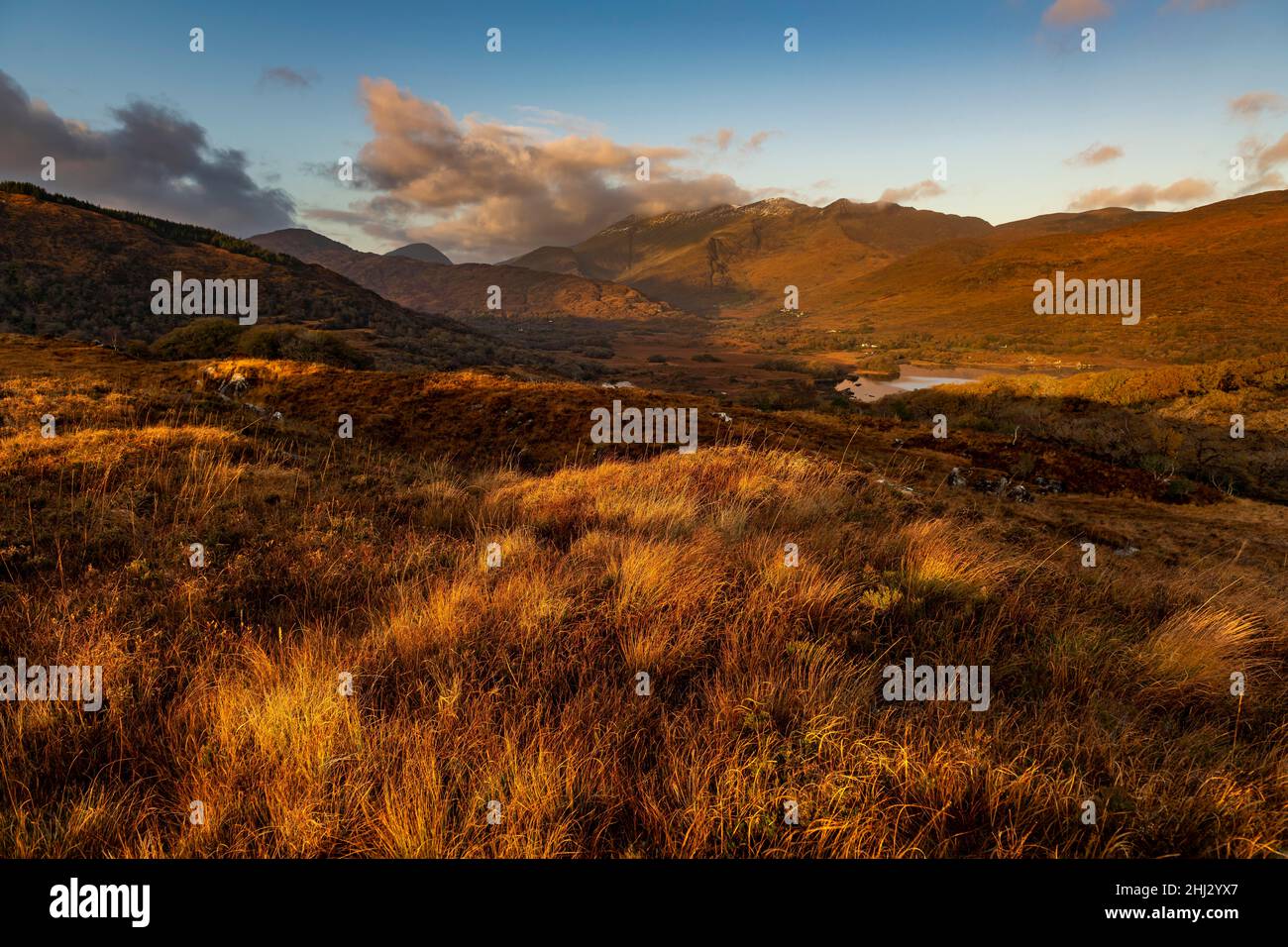 Irish autumn landscape hi-res stock photography and images - Alamy
