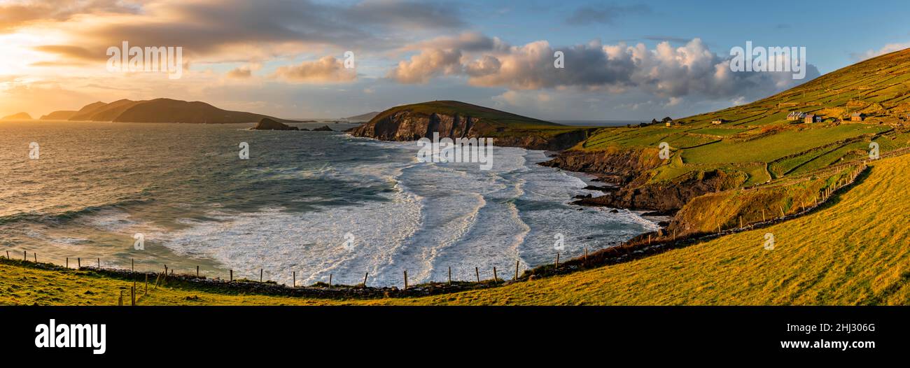 Sea coast with meadows at sunset, Dingle Peninsula, Kerry, Ireland ...