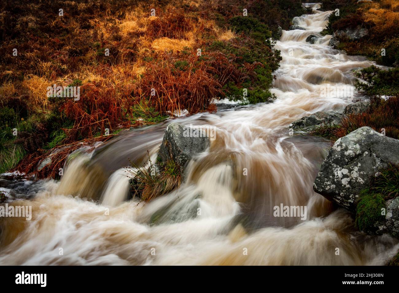 Mountain stream in autumn landscape, Glendalough, Wicklow, Ireland ...