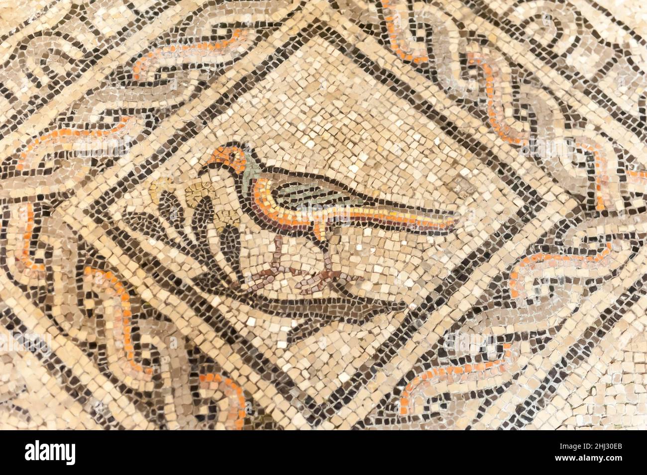 Archaeology, bird, dove sitting on branch, Christian symbol, mosaic ...