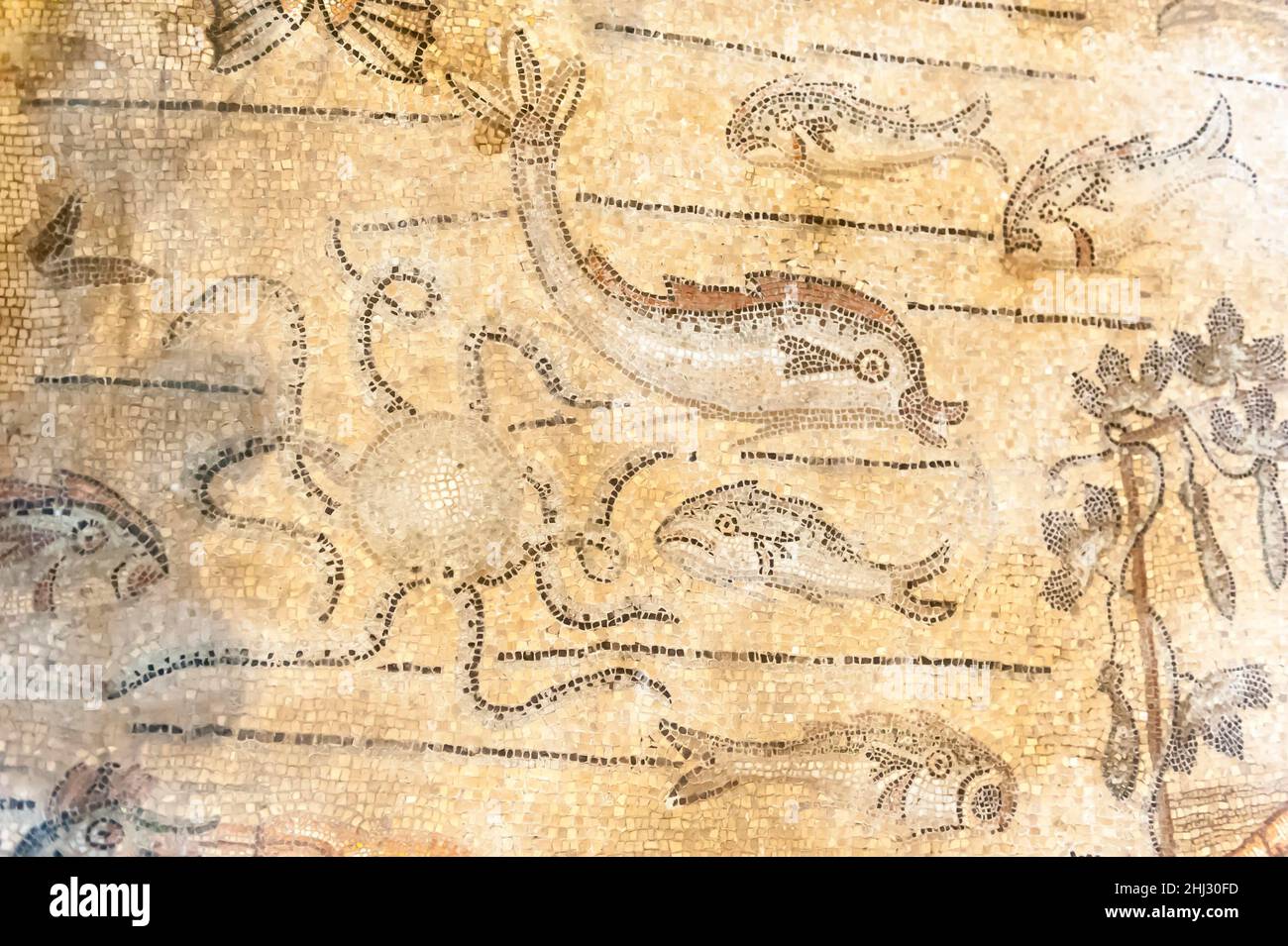 Archaeology, underwater world, fish, Christian symbol, mosaic, early ...