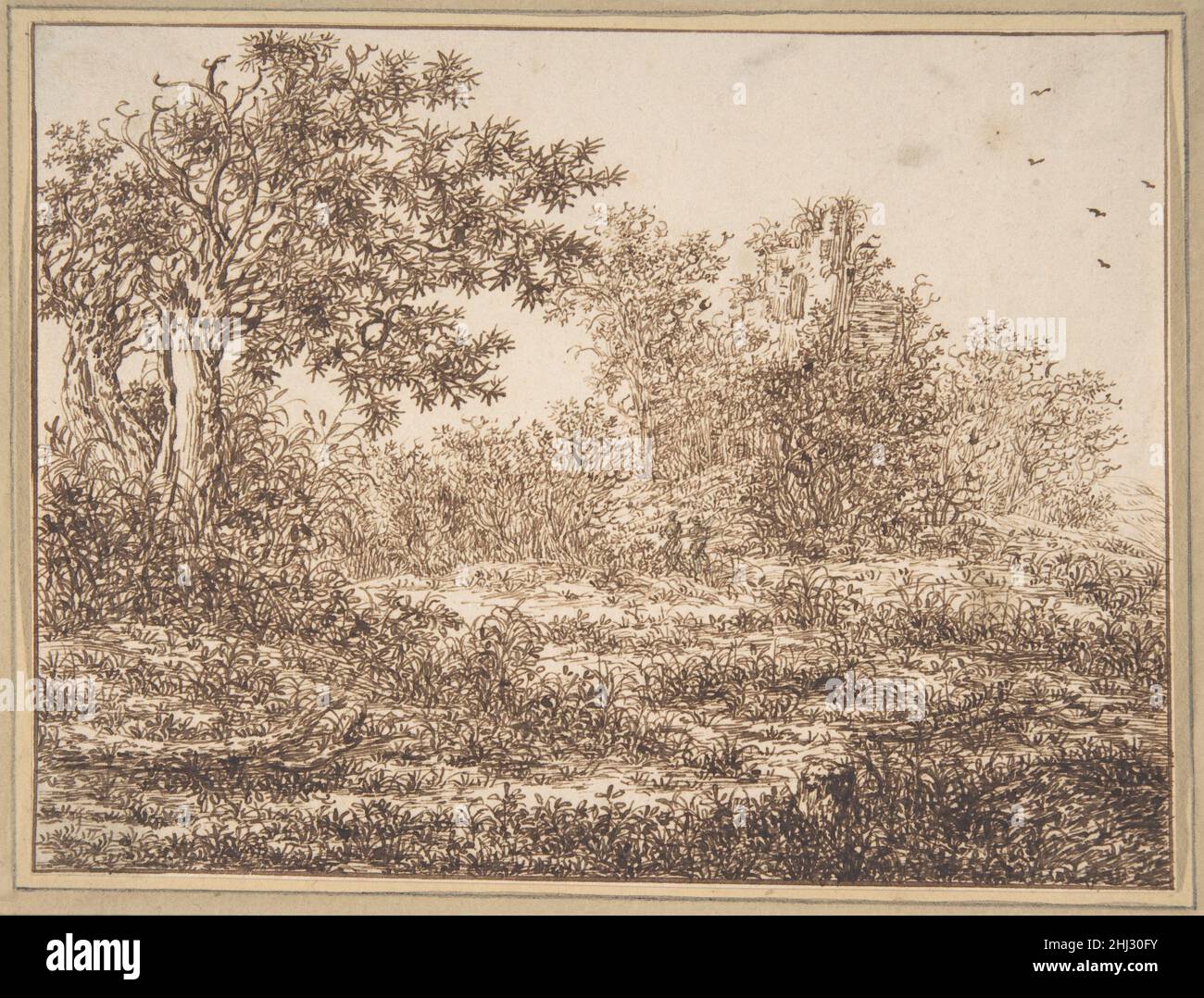 Dune Landscape with Trees 17th century Adriaen Hendriksz. Verboom. Dune ...