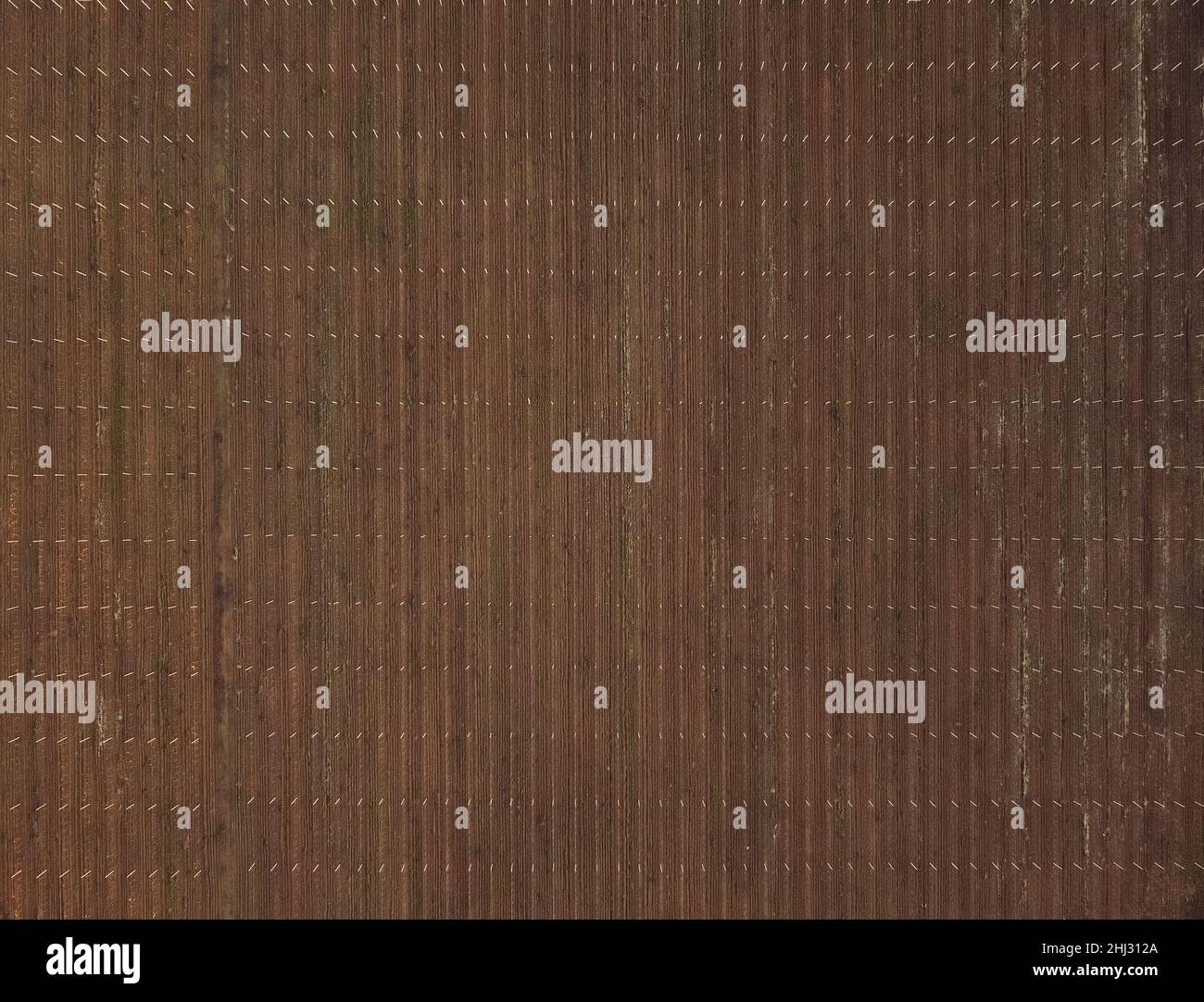 Vineyard land field top-down view from drone Stock Photo - Alamy