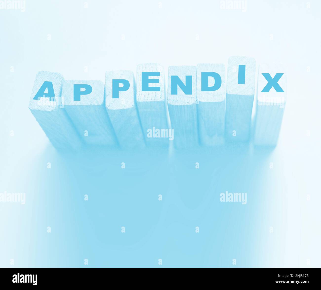 appendix word written on wood block. appendix text on table, concept ...