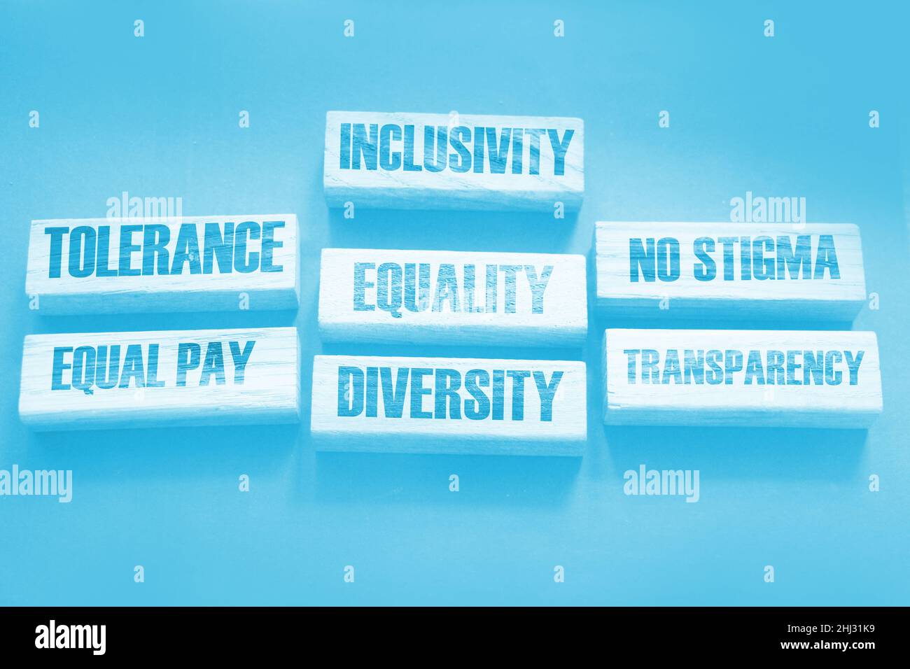 Inclusivity tolerance transparency equality diversity words on wooden ...
