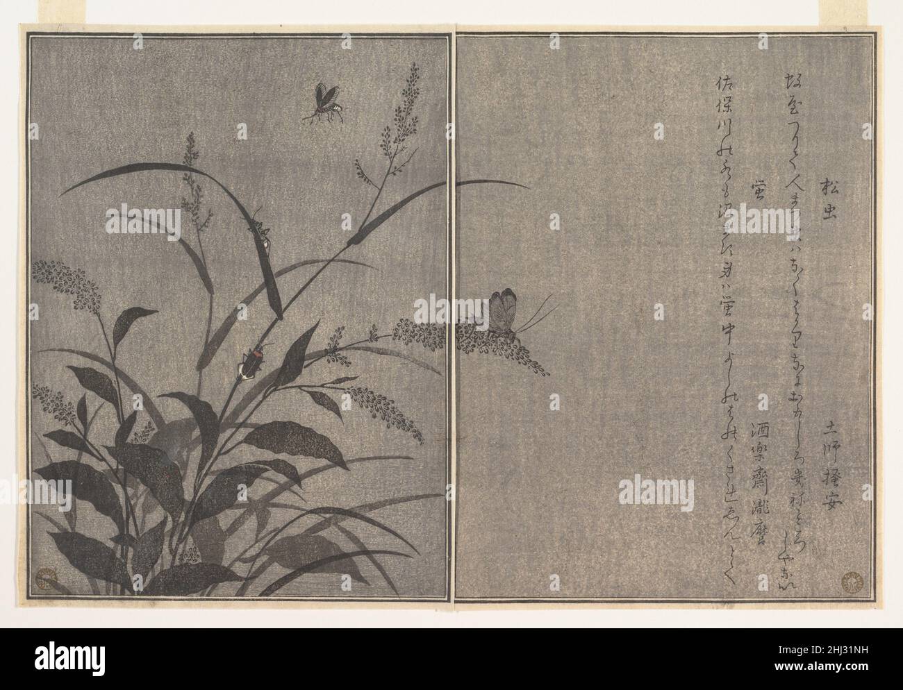 Tree cricket (Matsumushi); Firefly (Hotaru), from the Picture Book of ...