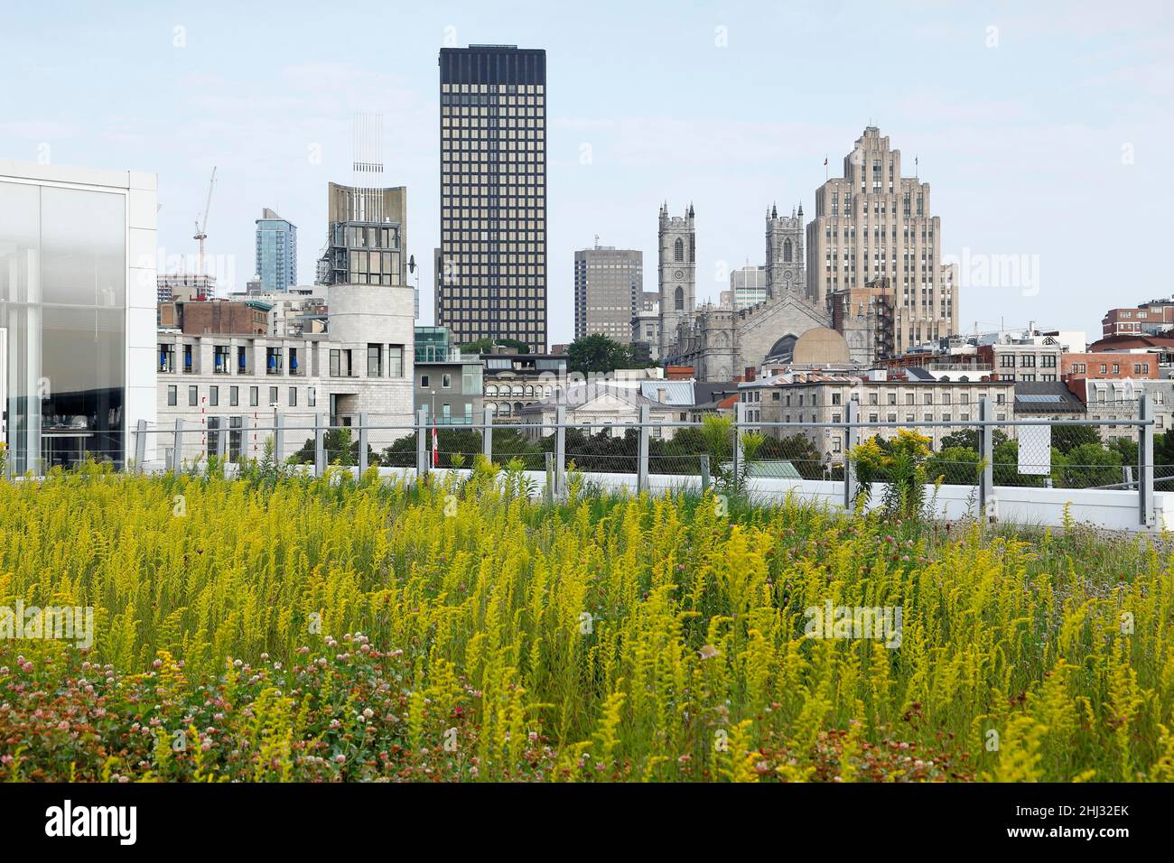 Top of the Cruise Ship Terminal with view on the city, Montreal ...