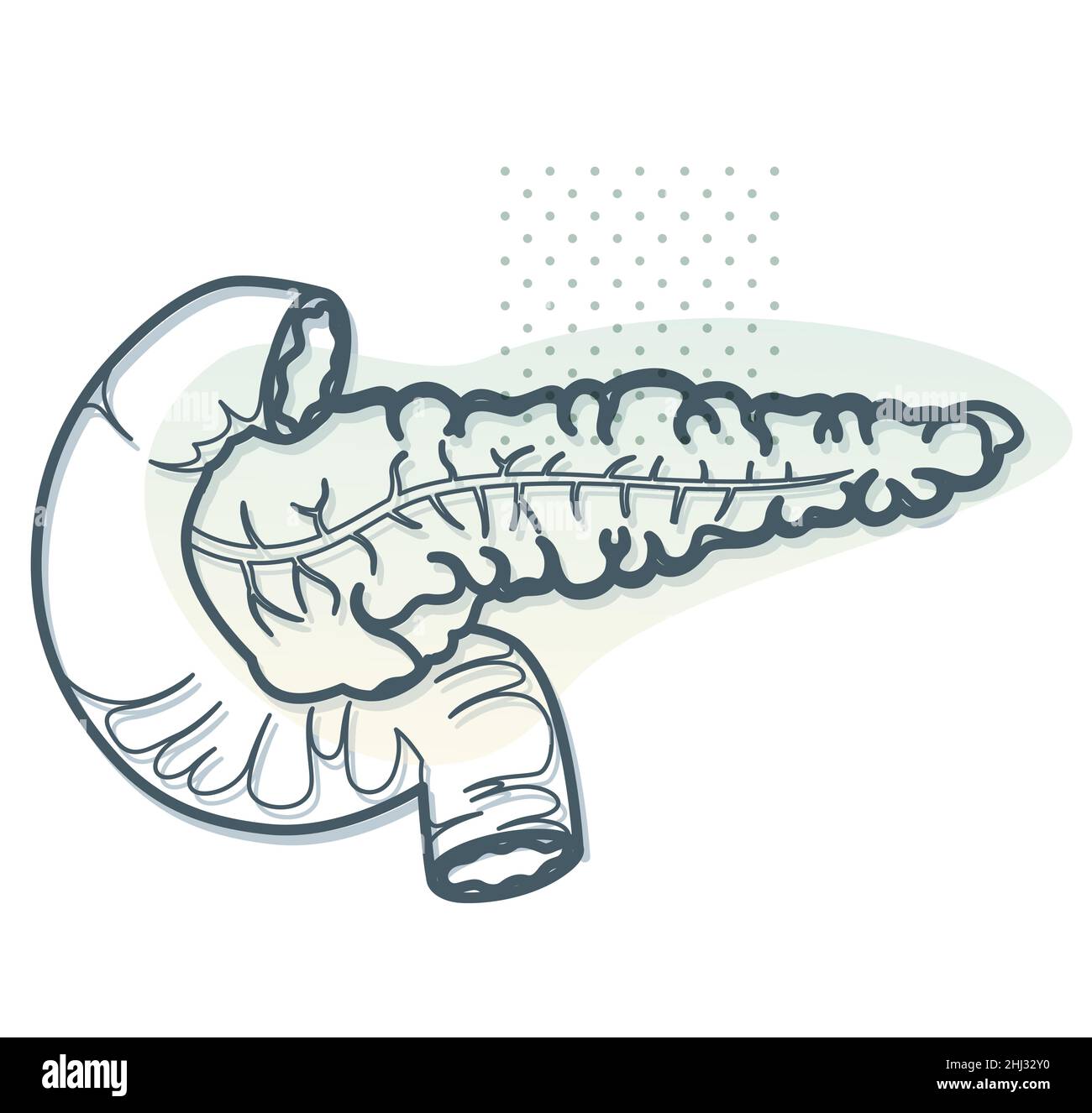 Pancreas Icon stock illustration as EPS 10 File Stock Vector Image ...