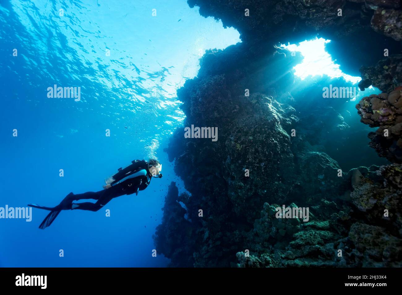 Divers in front of coral reef wall with breakthrough, Sunbeams, Um ...