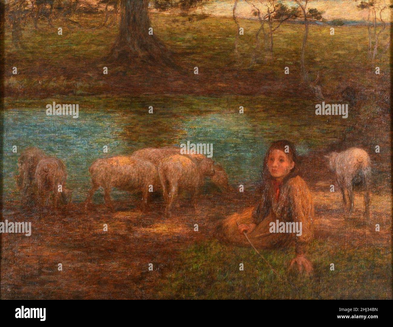 Edward Stott - Trees, a shady boon for simple sheep Stock Photo - Alamy