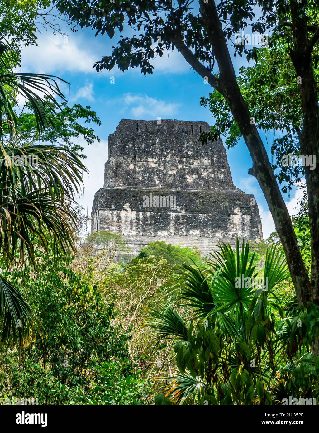 Temple IV also known as the two headed snake temple in Mayan city of ...