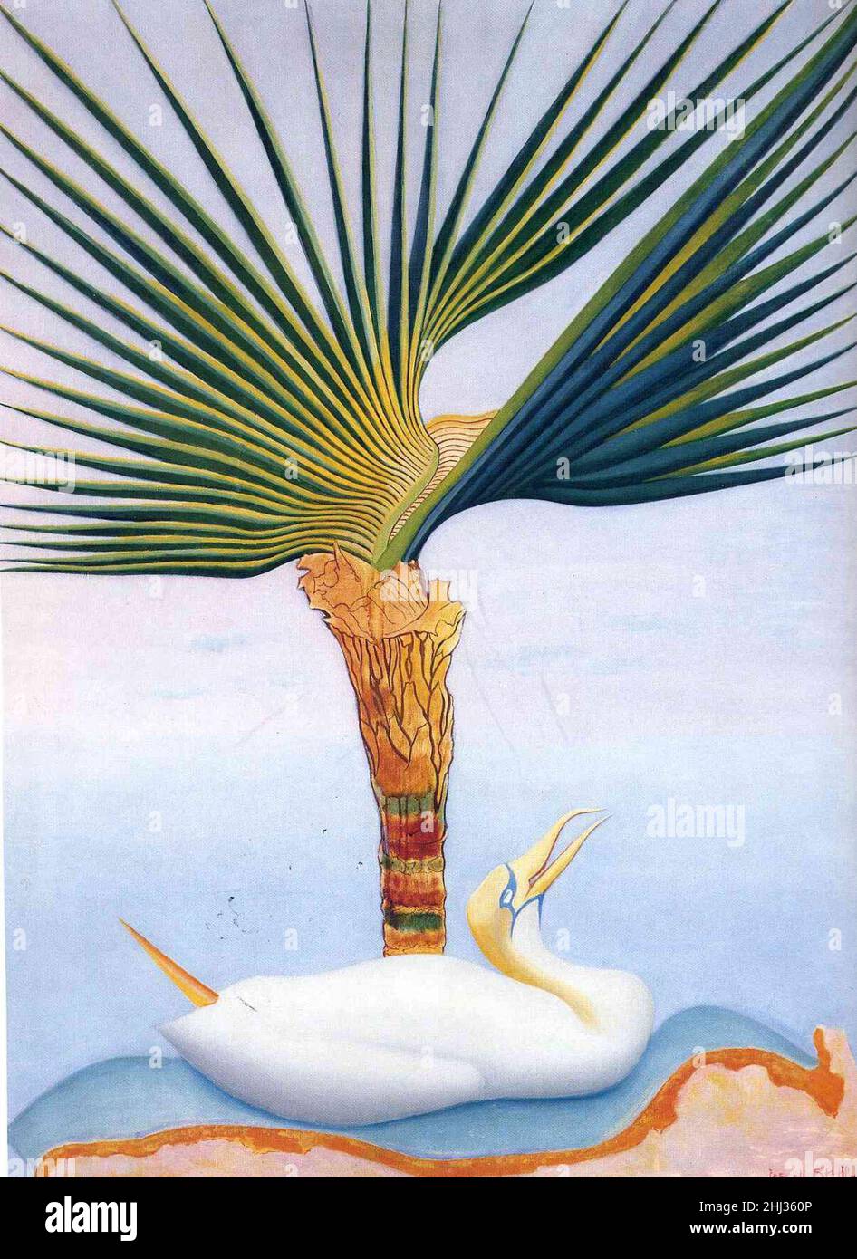 Joseph stella palm hi-res stock photography and images - Alamy
