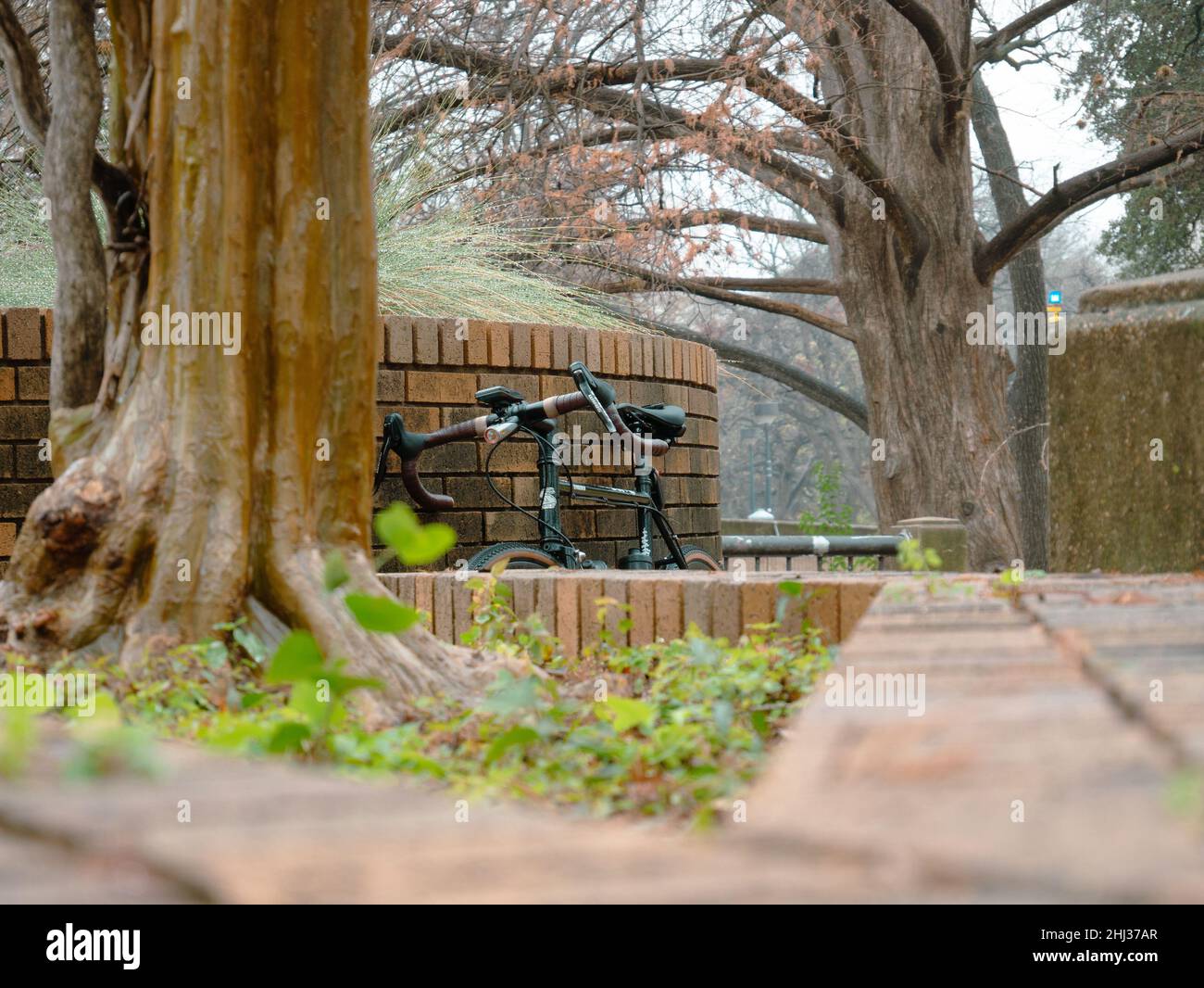 Straggler hi-res stock photography and images - Alamy