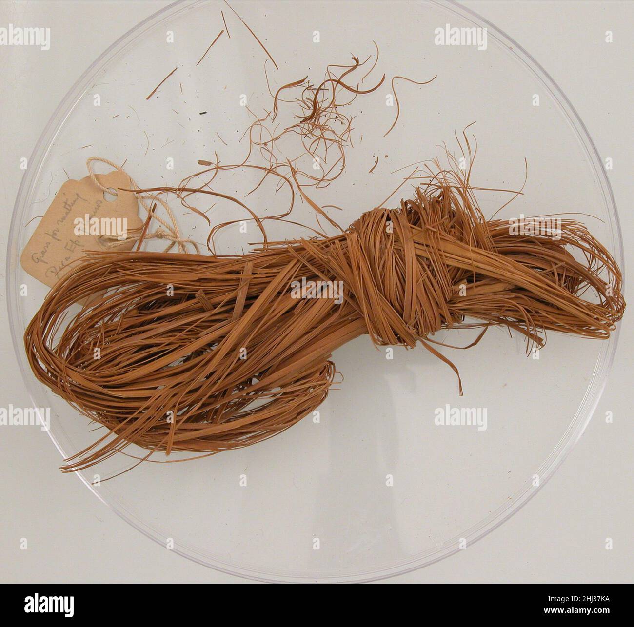 Bundle of Grass 580–640 Coptic. Bundle of Grass 475028 Stock Photo - Alamy