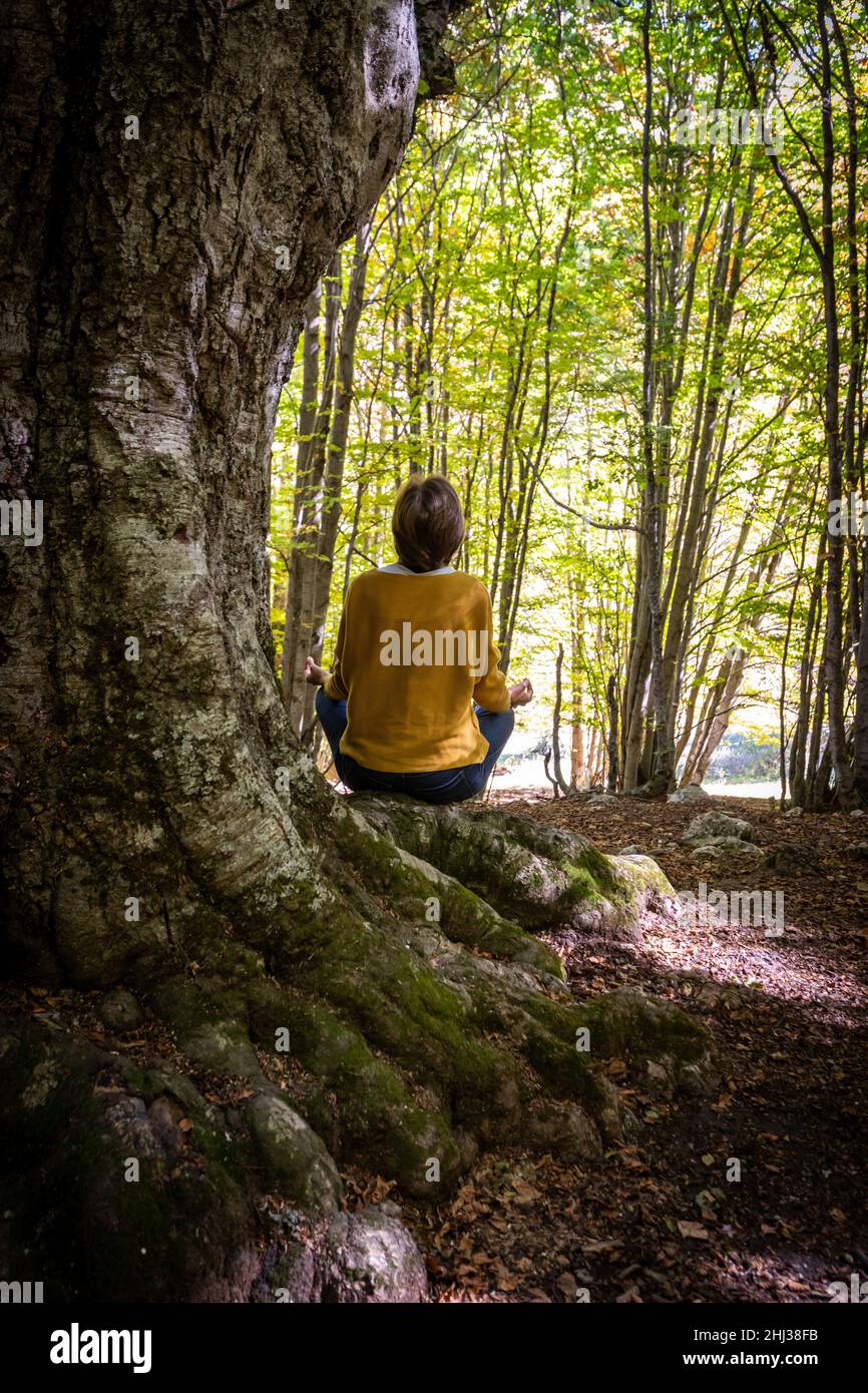 Meditation Images Nature