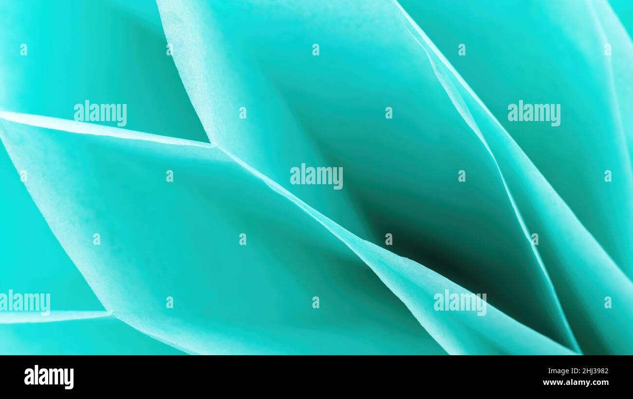 Abstract turquoise background macro photography in high resolution ...