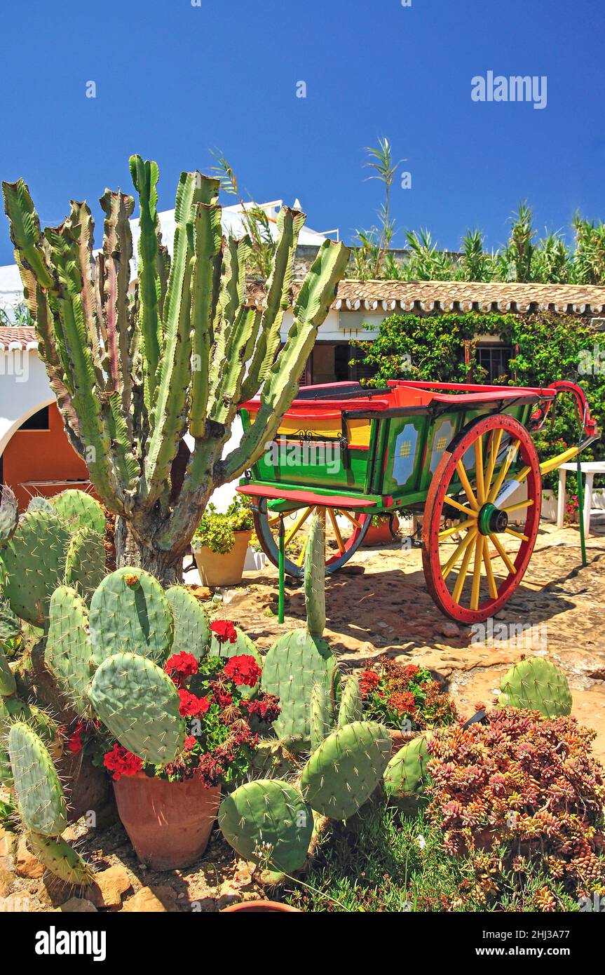 Colourful cart hi-res stock photography and images - Alamy