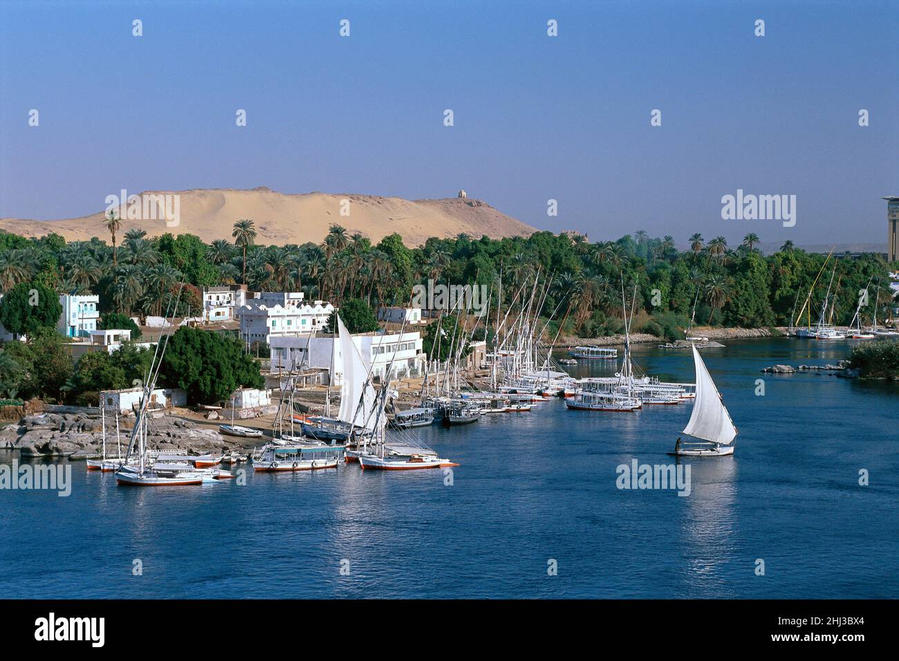 Feluka Boats on the Nile River Aswan, Egypt Stock Photo - Alamy