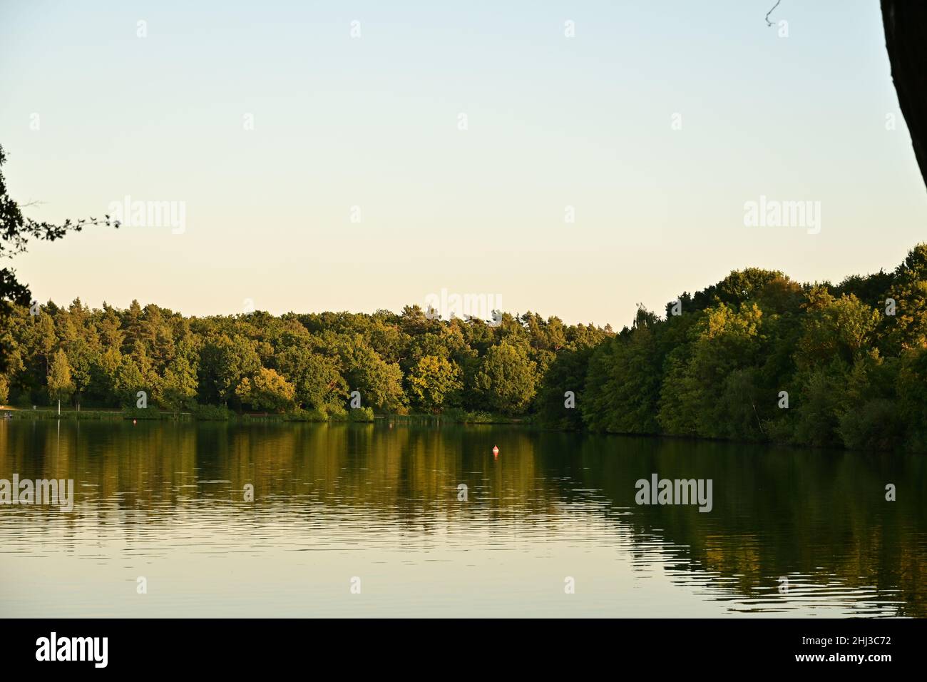 Schweinfurter Baggersee lake and green forests Stock Photo - Alamy