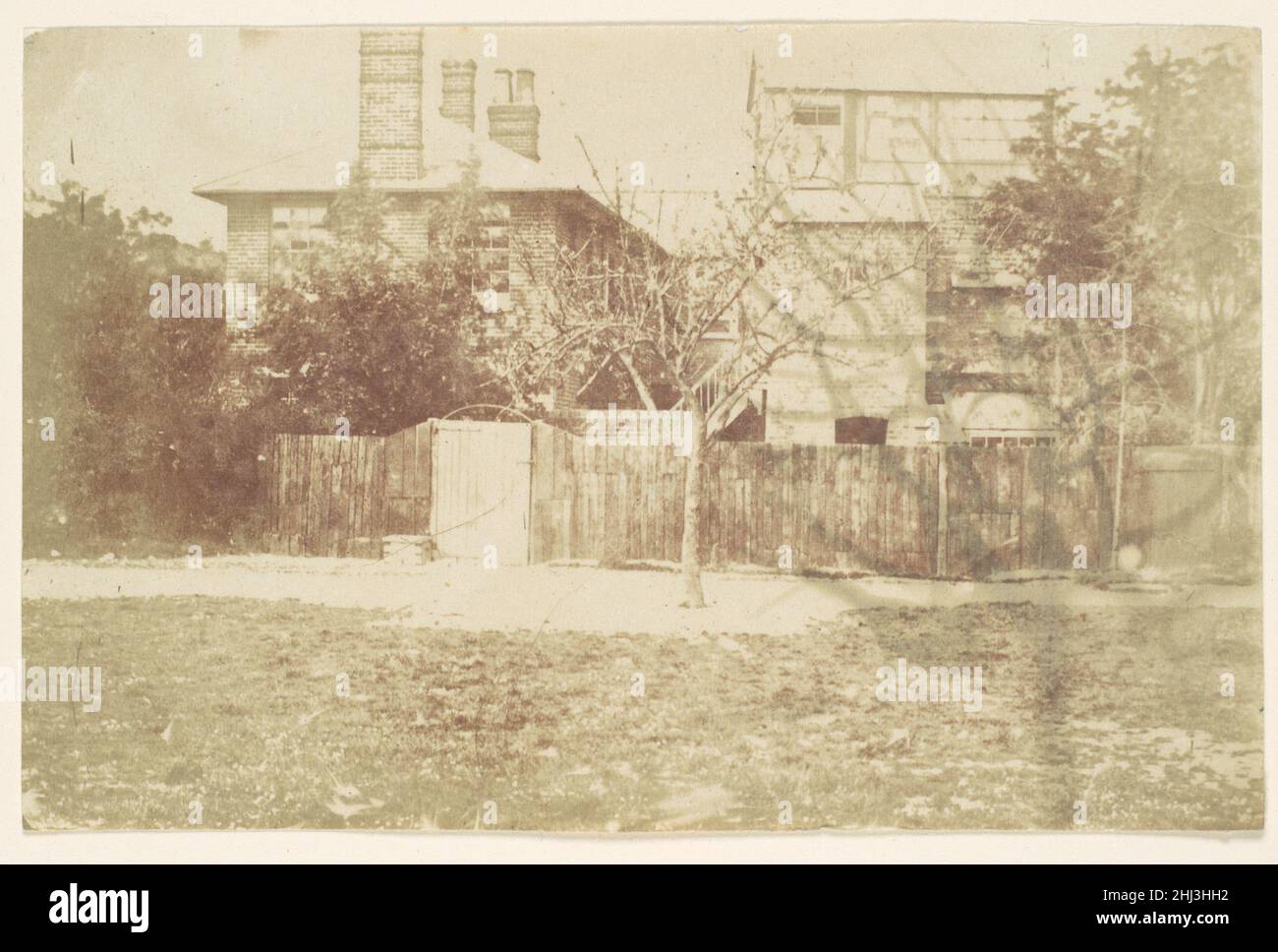 [Tree in Yard] 1850s Attributed to Samuel Buckle British. [Tree in Yard ...