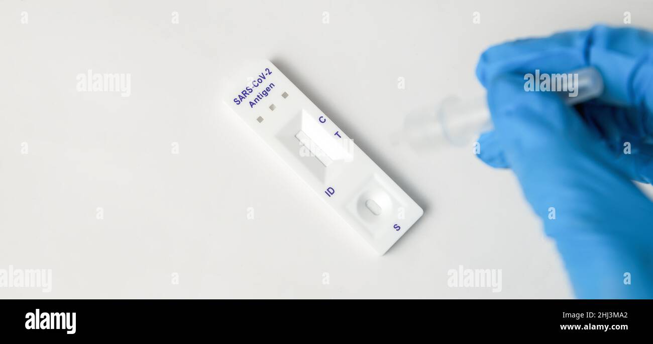 Man makes a covid-19 antigen pcr test macro. The test showed a positive ...