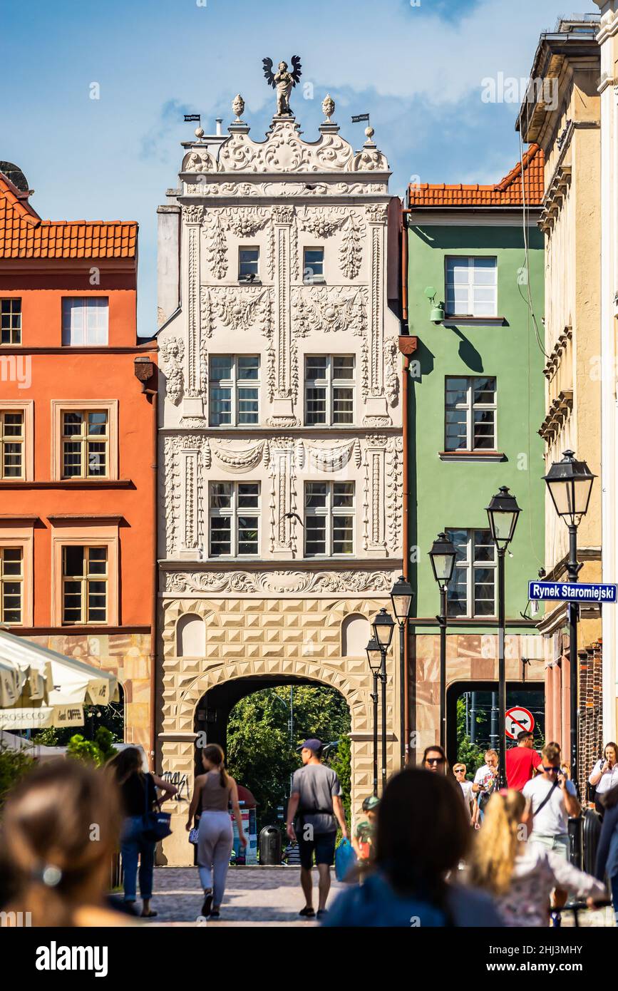 Polska rozana hi-res stock photography and images - Alamy