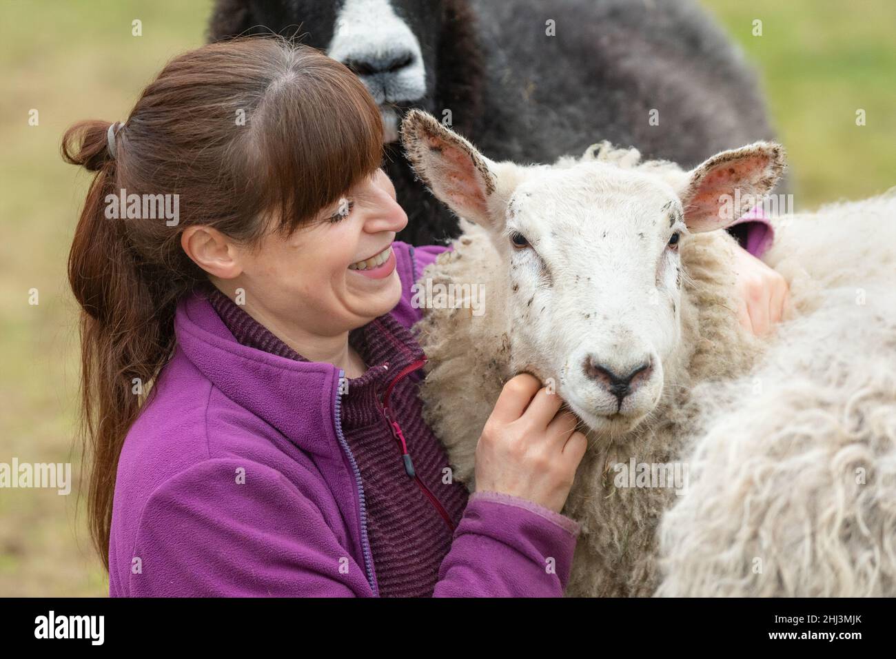 The Vegan Shepherdess. Images of a woman in northern Scotland who cares ...