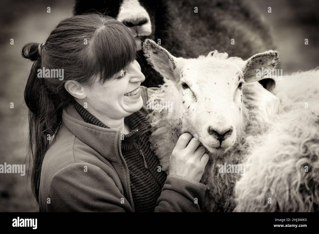 The Vegan Shepherdess. Images of a woman in northern Scotland who cares ...