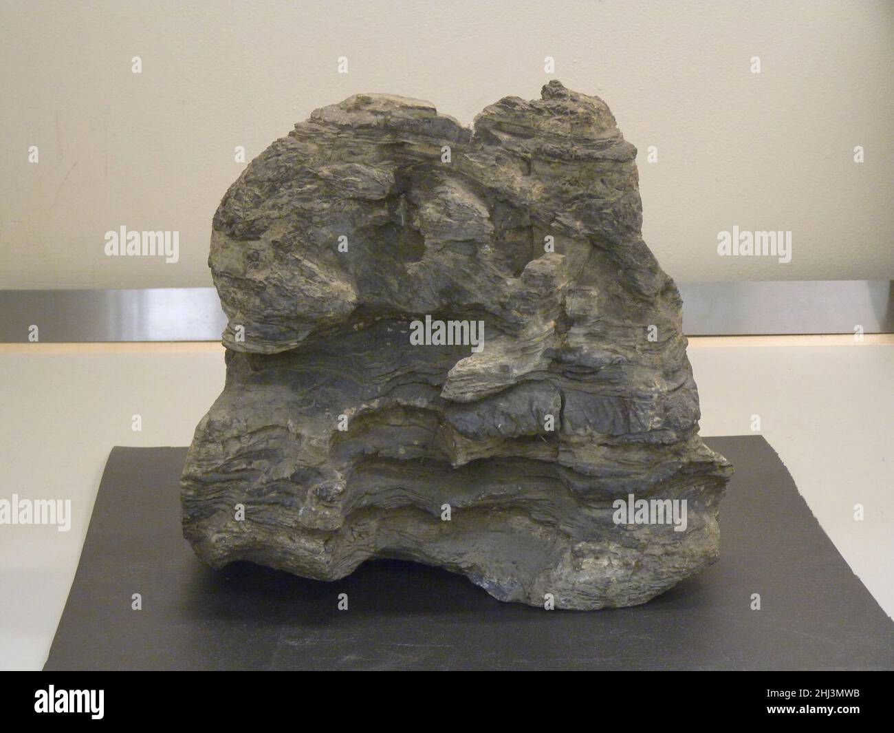 Scholar's Rock 18th–20th century China This natural piece of limestone ...